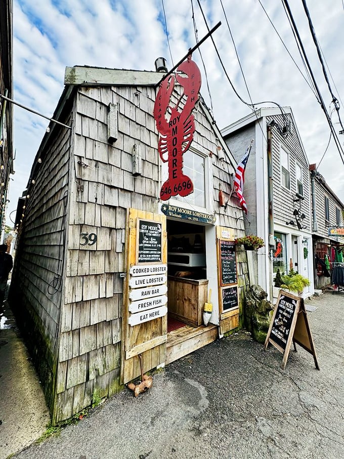 Roy Moore's weathered shack has seen more lobsters than most people have had hot dinners.