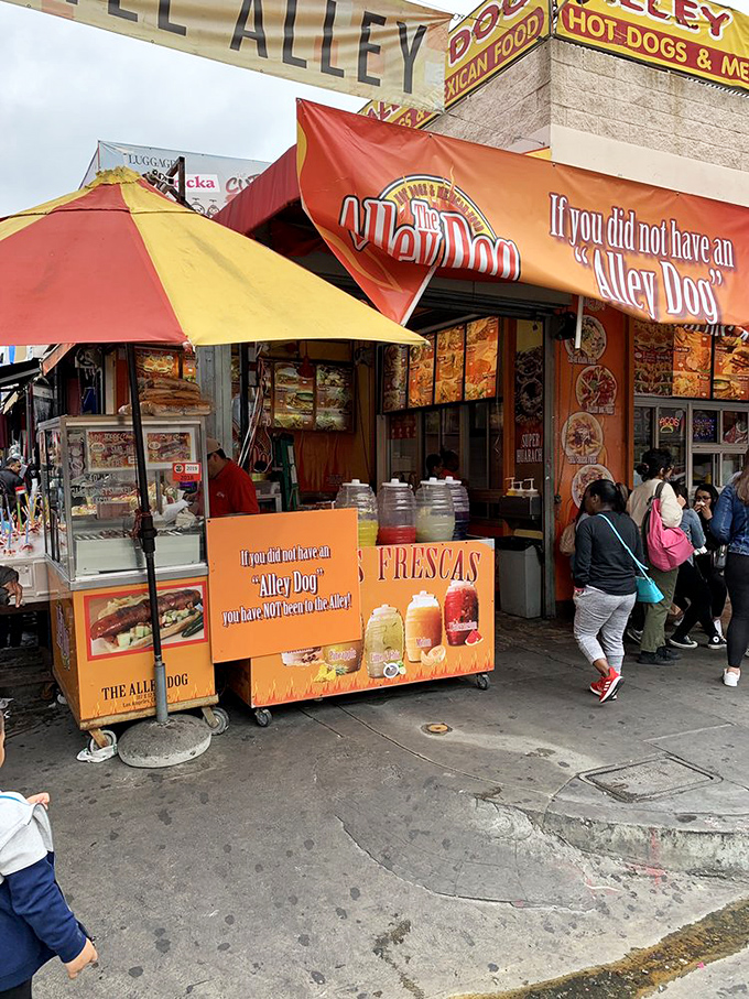The Alley Dog's vibrant street stand brings Mexican-inspired hot dog magic to Downtown LA's bustling Fashion District.