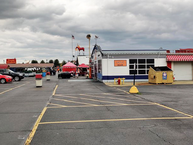 Traders World: a climate-controlled labyrinth of potential discoveries. Every aisle promises its own adventure story.