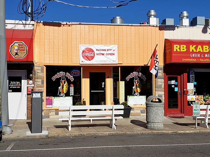 A dapper hot dog mascot in a top hat? Doggie Style brings whimsy and international flavors to Rehoboth's bustling avenue.