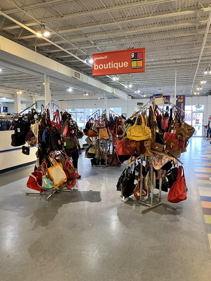 Inside this Goodwill boutique, handbags hang like colorful fruit, ripe for the picking.