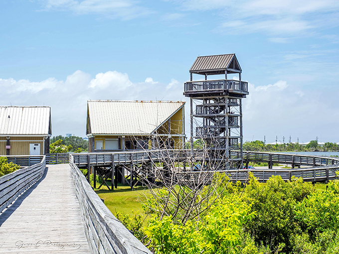Mother Nature's masterpiece unfolds at Grand Isle, where land meets sea in a beautiful compromise that benefits us all.