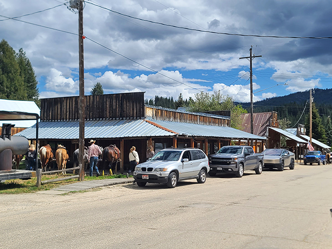 Idaho City: The gentle curve of the river mirrors the blue Idaho sky, creating the kind of scene that makes you forget what century you're in.