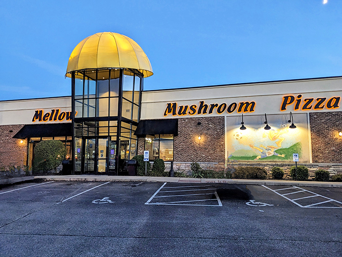 Mellow Mushroom: By day or night, that mushroom cap glows with possibility. Like a pizza joint designed by Willy Wonka's more grounded cousin.