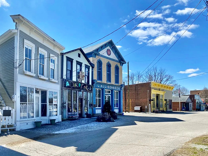 Metamora: L. Allison & Son isn't just a storefront—it's a time machine disguised as a building, waiting for curious visitors.