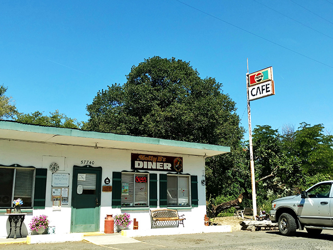 Molly B's Diner (Tygh Valley): This charming white building with green accents serves biscuits that could make a grown person weep with joy.