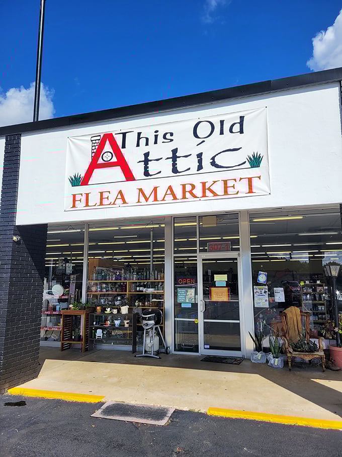 The bold "A" logo stands like a superhero emblem for bargain hunters. Captain Collectible to the rescue!