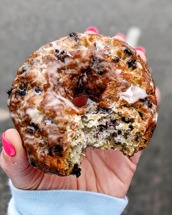 That perfect bite reveals the blueberry donut's secret&mdash;a tender crumb studded with fruit that makes breakfast feel like an indulgent celebration.