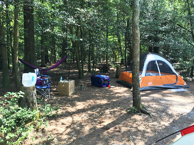Camping nirvana achieved: where the trees provide natural air conditioning and pine needles serve as nature's welcome mat.