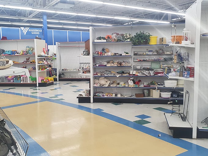 Household goods shelves tell silent stories of past homes, each ceramic figurine and vase hoping for a second chance at decorative glory.