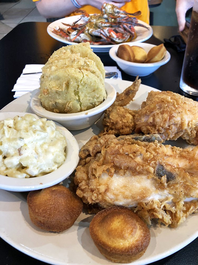 A Southern trinity: perfectly fried chicken, creamy mac and cheese, and what appears to be potato salad. The corn muffins stand by, ready for their supporting role.
