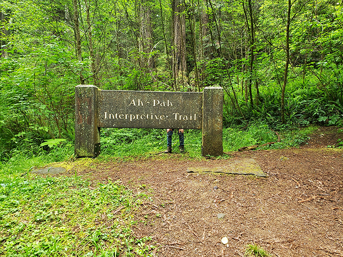 The Ah-Pah Interpretive Trail: where even the sign looks like it belongs in an enchanted forest storybook.