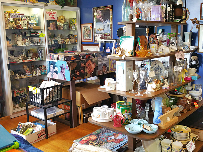 Blue walls frame a collector's paradise&mdash;where vinyl records, vintage glassware, and forgotten treasures create a museum of American nostalgia.