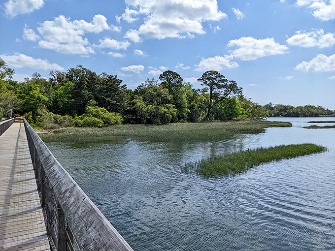Nature's own masterpiece unfolds at Airlie Gardens, where wooden walkways guide you through marshlands teeming with coastal wildlife.