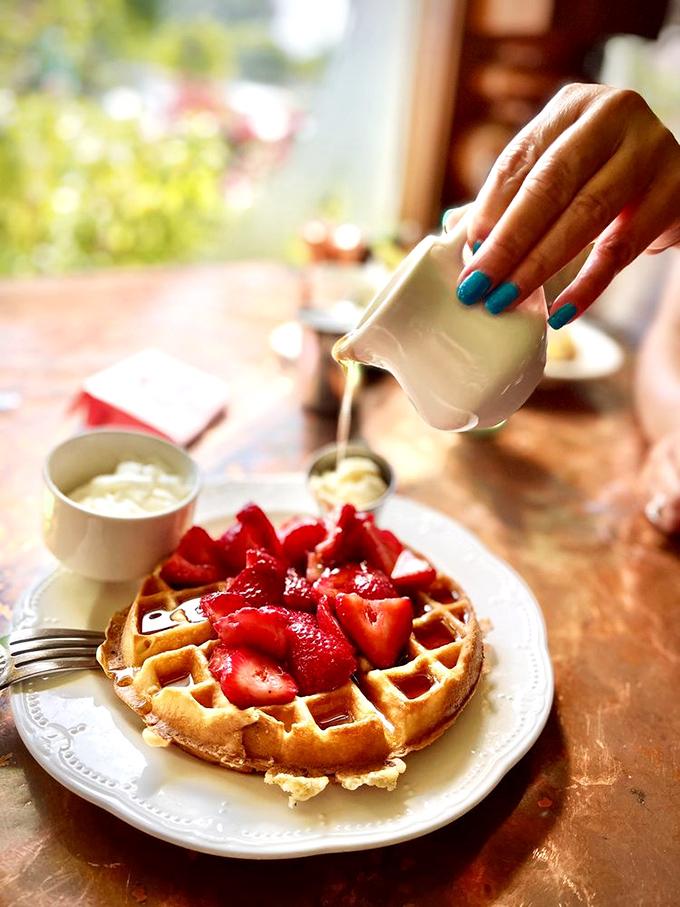 Waffle perfection achieved: golden crisp exterior, fluffy interior, and strawberries so fresh they're practically introducing themselves to the cream.