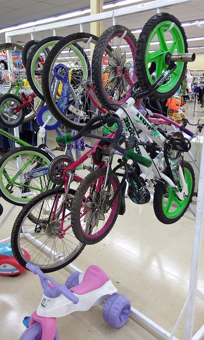 The bicycle graveyard offers two-wheeled freedom at a fraction of retail. That pink one's probably seen more adventures than your car.