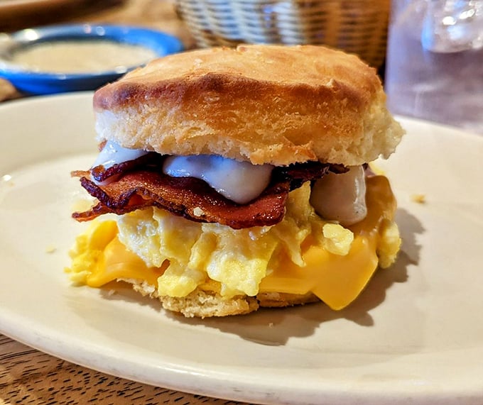 Breakfast sandwich architecture at its finest. The structural integrity of that biscuit supporting bacon, egg, and cheese deserves an engineering award.