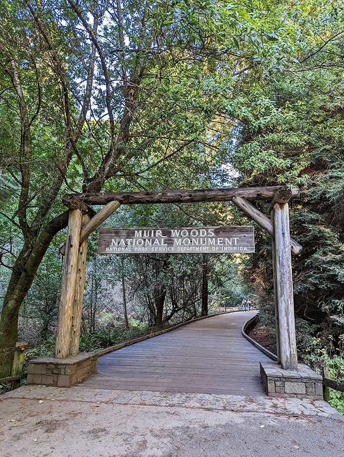 Muir Woods' iconic entrance&mdash;where the redwood cathedral begins. Step through this portal and prepare to feel delightfully insignificant among ancient giants.