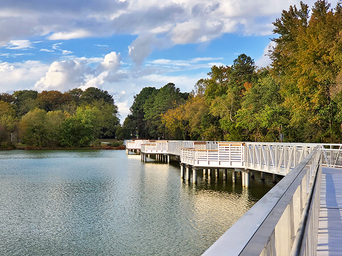 Where land meets water in perfect harmony. This boardwalk offers front-row seats to nature's daily performance art.