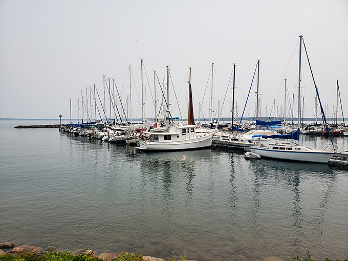 A forest of masts stands at attention in Bayfield's marina, each boat whispering tales of Superior adventures to anyone who'll listen.