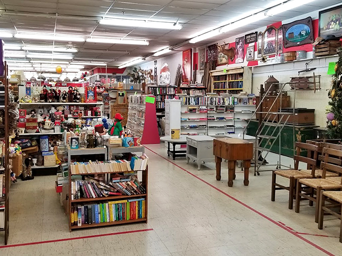 Books and nostalgia arranged in perfect harmony&mdash;the literary equivalent of comfort food, with a side of vintage furniture.