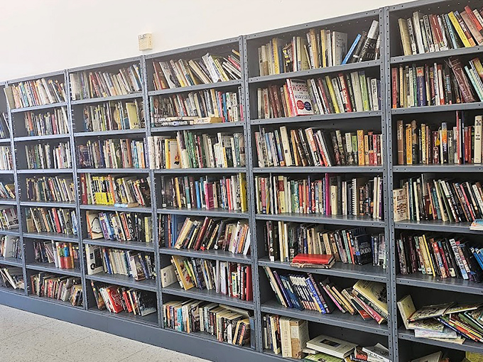 Wall-to-wall literary treasures await bibliophiles and casual readers alike. These shelves hold everything from forgotten bestsellers to cookbooks with splatter marks on the best recipes. 