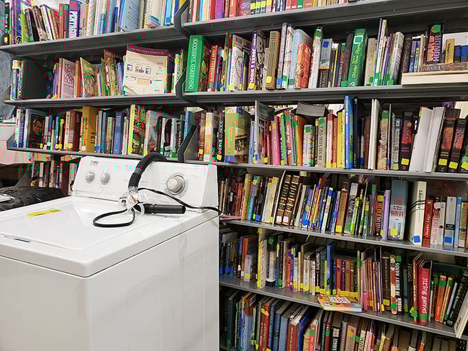 Books and appliances sharing space&mdash;because nothing says "eclectic" like finding Hemingway next to a washing machine.