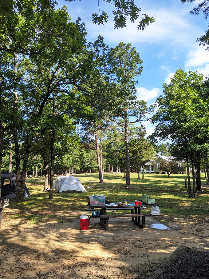 Camping here isn't roughing it&mdash;it's upgrading your ceiling from popcorn texture to a million twinkling stars with zero renovation costs.