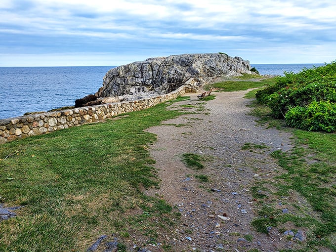 Castle Rock Park offers the kind of coastal vista that makes you forget your phone exists. Nature's IMAX with a soundtrack of crashing waves.