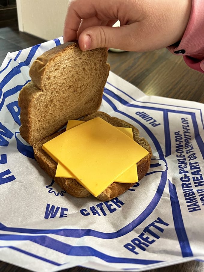 Simplicity sings in this cheese sandwich, proving that sometimes two slices of American cheese between bread is all the therapy you need.