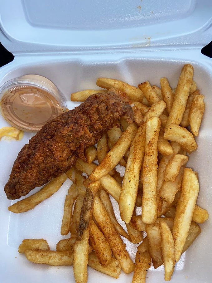 Simplicity perfected: one golden-brown tender alongside fries that look like they've been working out. Dipping sauce included for those commitment-ready relationships.
