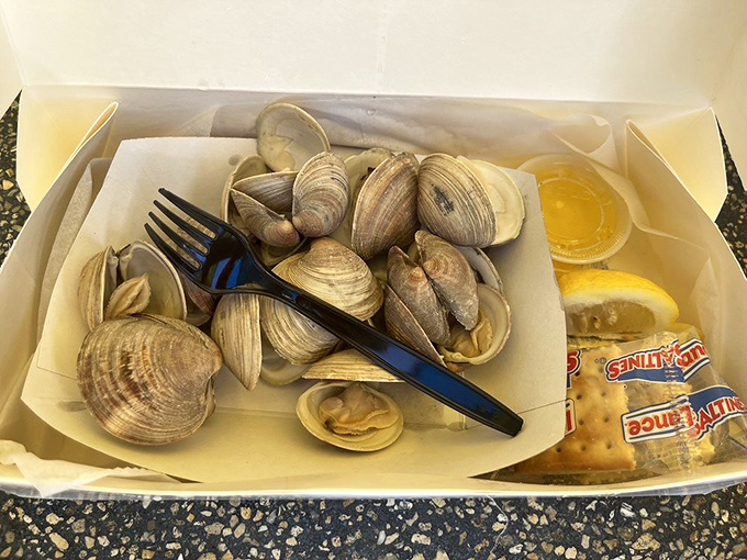 These clams didn't travel far to reach your plate. They're so fresh they're practically still gossiping about ocean floor drama.