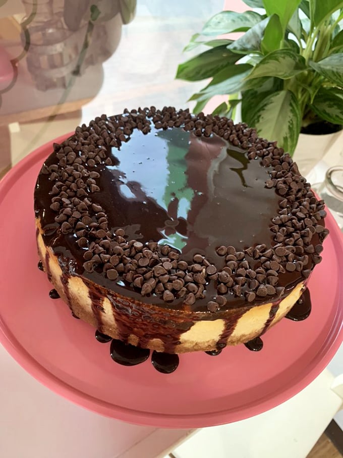 Chocolate ganache so glossy you could check your reflection before diving into this chocolate chip paradise.