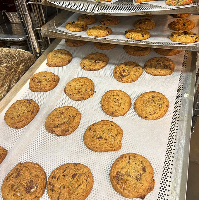 Cookies that look like they jumped straight out of a 1950s sitcom mom's oven&mdash;golden, perfectly imperfect, and absolutely irresistible.