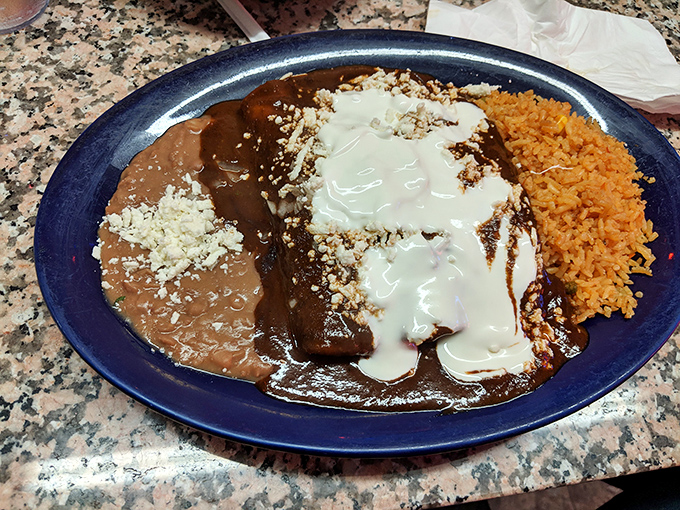 Mole sauce so complex it deserves its own biography. The kind of plate that makes you slow down and appreciate each carefully crafted bite.