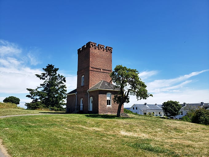 The marina showcases Port Townsend's living maritime heritage, where classic wooden vessels neighbor modern sailboats in perfect nautical harmony. Photo credit: Darren (LastGasp)