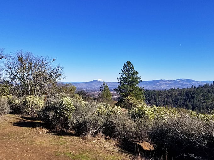 Nature's gallery on display. The Rogue Valley stretches out below like a landscape painting you can actually walk into&mdash;no museum admission required.