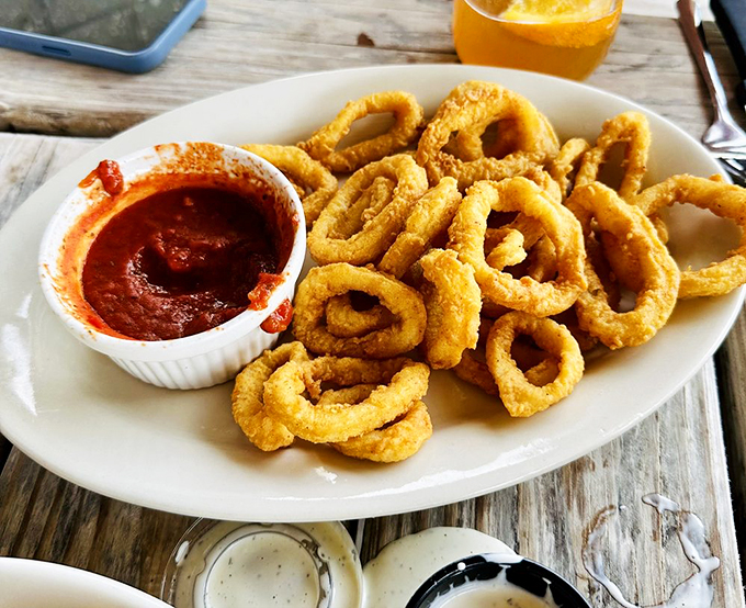Golden calamari rings that crunch like autumn leaves, paired with marinara that makes dipping an art form worth mastering.