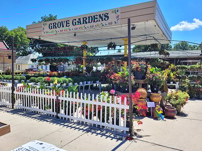 At Grove Gardens, flowers and plants await adoption into your home landscape&mdash;no background checks required.
