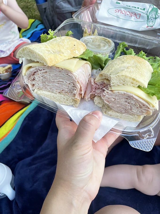 Picnic perfection captured in plastic&mdash;layers of ham and cheese that make ordinary sandwiches look like they're not even trying.