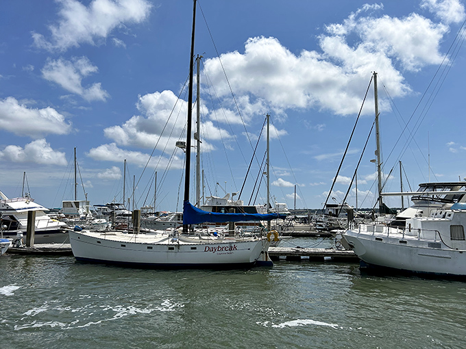 Not just boats, but floating stories &ndash; each vessel in Beaufort's marina represents someone's dream, adventure, or very expensive hobby.