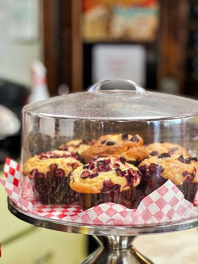 These homemade muffins under glass aren't just baked goods—they're edible museum pieces showcasing the art of breakfast pastry on checkered pedestals.