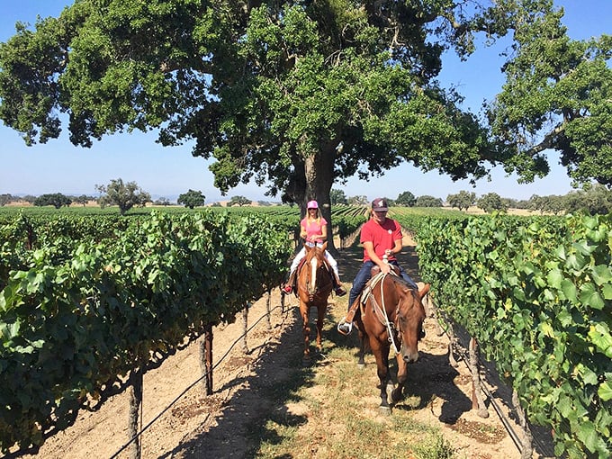 Horseback riding through vineyards&mdash;because walking between wine tastings is so pedestrian. These vines have better views than most Manhattan penthouses.