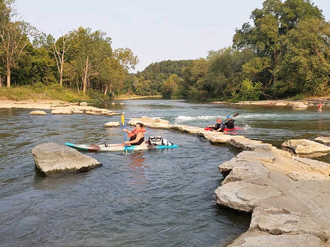 Adventure awaits where paddlers navigate the gentle rapids of the Illinois River. Kayaking here is like nature's version of a theme park ride &ndash; wet, wild, and wonderful.