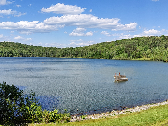 Lake Zwerner offers a serene escape just minutes from downtown, where the only rush hour involves ducks making their way across glassy waters.