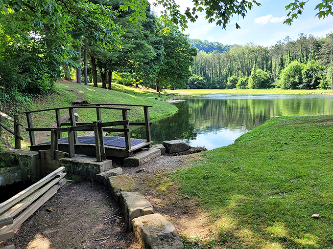 This tranquil fishing dock offers front-row seats to nature's greatest show. The still water mirrors the surrounding forest with such precision it could make a photographer weep.
