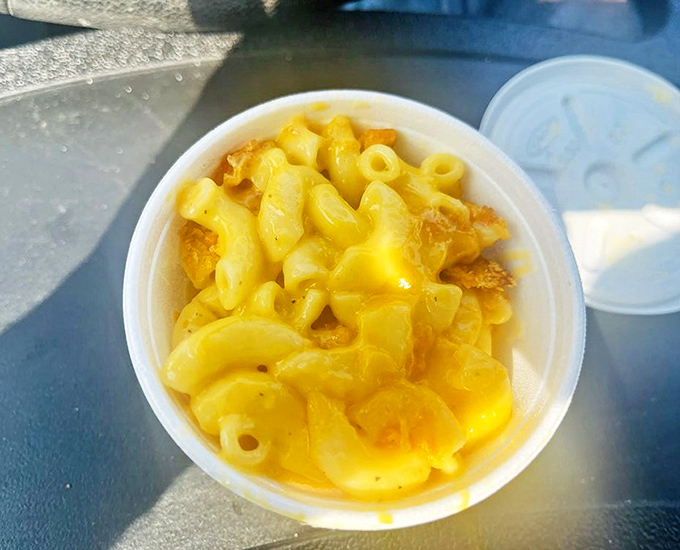 Mac and cheese that makes you question everything you thought you knew about comfort food. The color alone could cure seasonal depression.