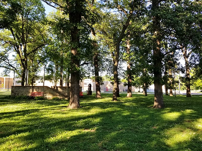 City Park's dappled sunlight filtering through century-old trees feels like nature's cathedral. This is where childhood memories are made and small-town traditions endure.