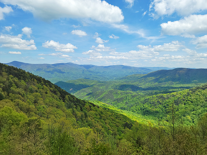 The verdant patchwork of the Chattahoochee National Forest stretches to the horizon like nature's quilt&mdash;sewn together with rivers, ridges, and enough oxygen to make city dwellers dizzy.