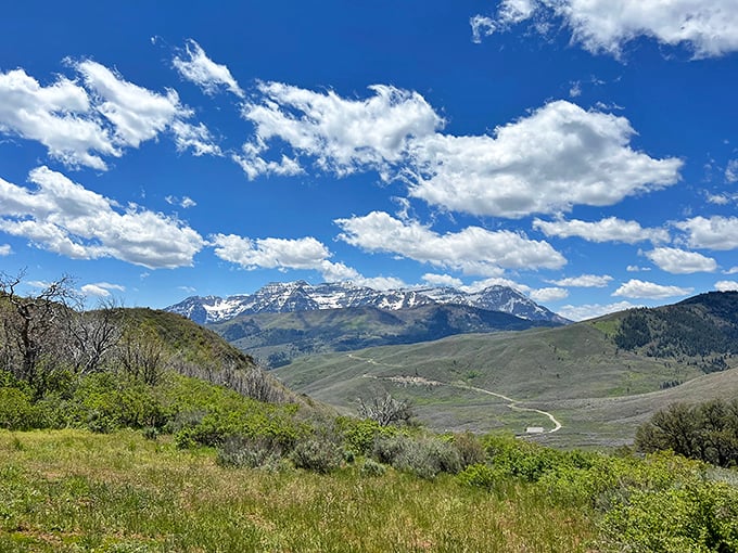 Mountains that look like they were drawn by Bob Ross himself—"happy little peaks" creating the perfect backdrop for your next profile picture.